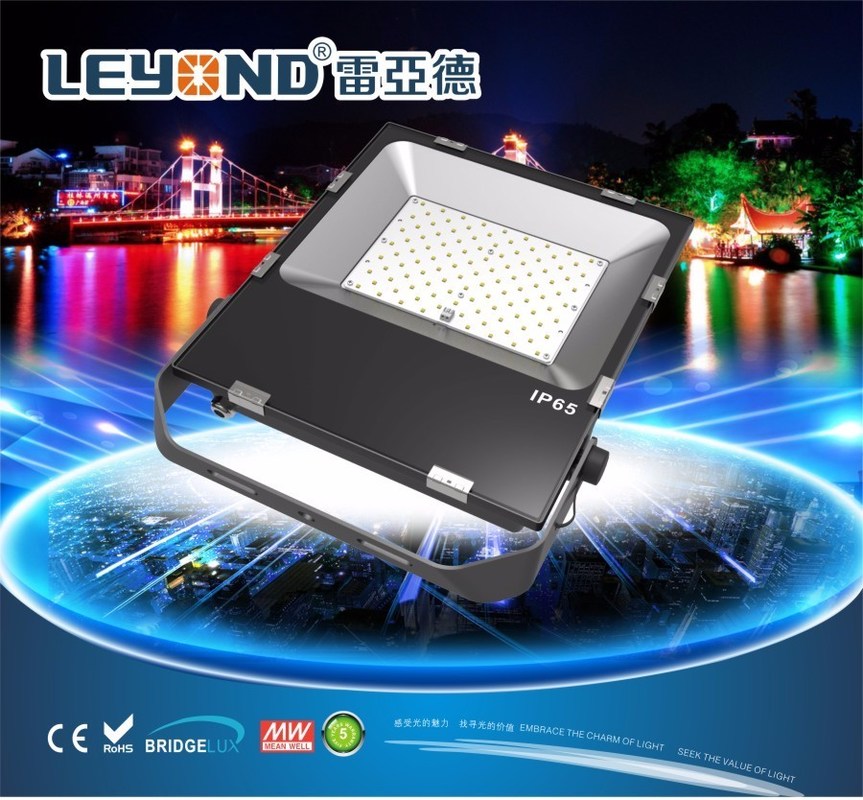 Factory Price IP66 Waterproof LED Flood Lights SMD LED 100W CE RoHS ...